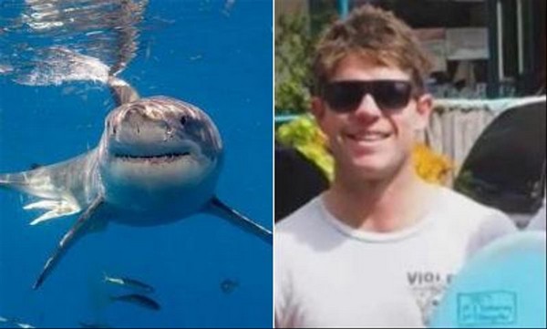 Mordu par un requin, un surfeur de 29 ans parvient à regagner la plage